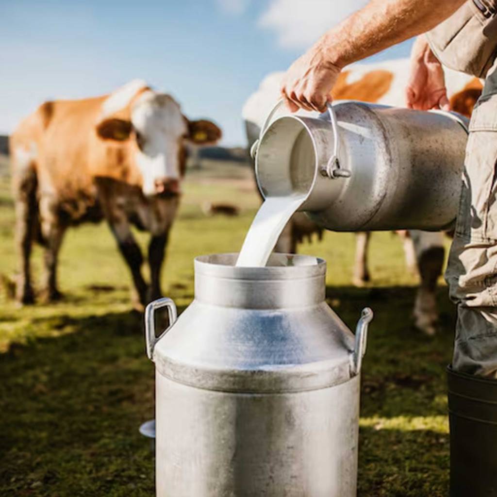 Dairy Products – Sachit Agro Farm